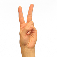 Online Gebarenwoordenboek